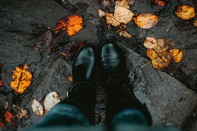 Warum färben sich die Blätter im Herbst bunt? Entdecken Sie die ... Warum färben sich die Blätter im Herbst bunt? Entdecken Sie die ...
