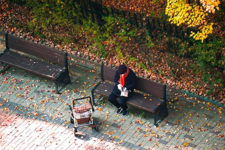 Warum färben sich im Herbst die Blätter? 5 Gründe und was du daraus ... Warum färben sich im Herbst die Blätter? 5 Gründe und was du daraus ...